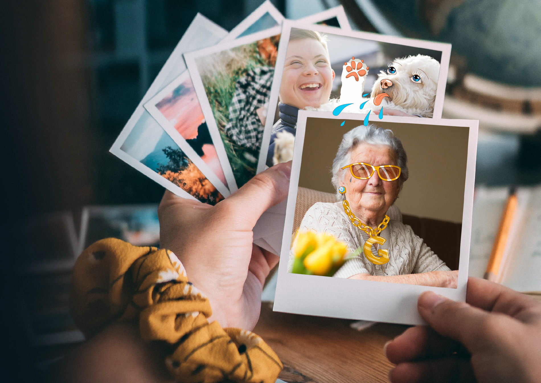 Project Me - Orchard